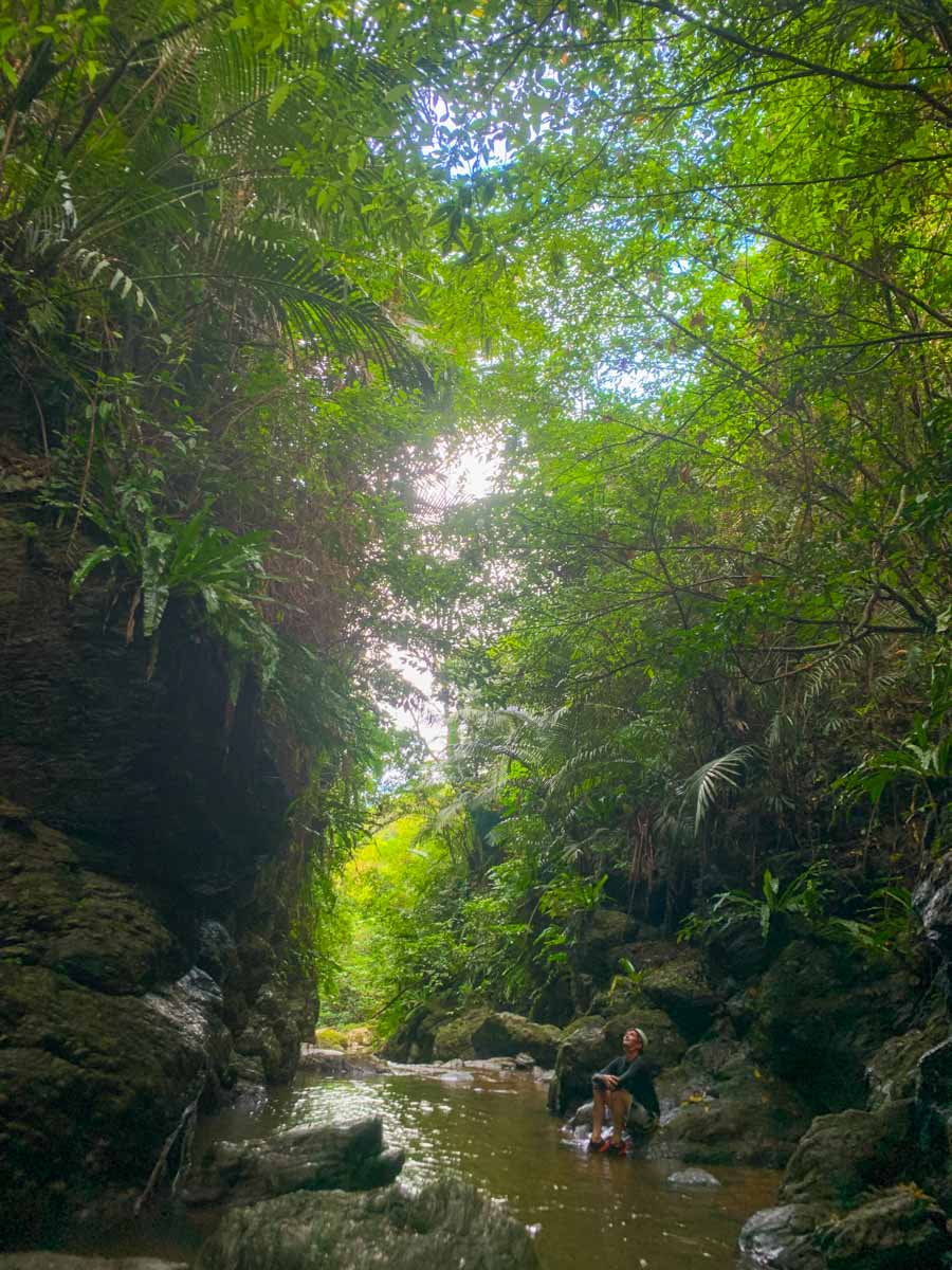 Okinawa Canyoning Tour | Enjoy A Natural Waterfall Jungle Adventure